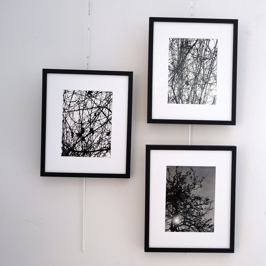 Trees - David Kronig › Puckhaber Decorative Antiques › specialists in ...