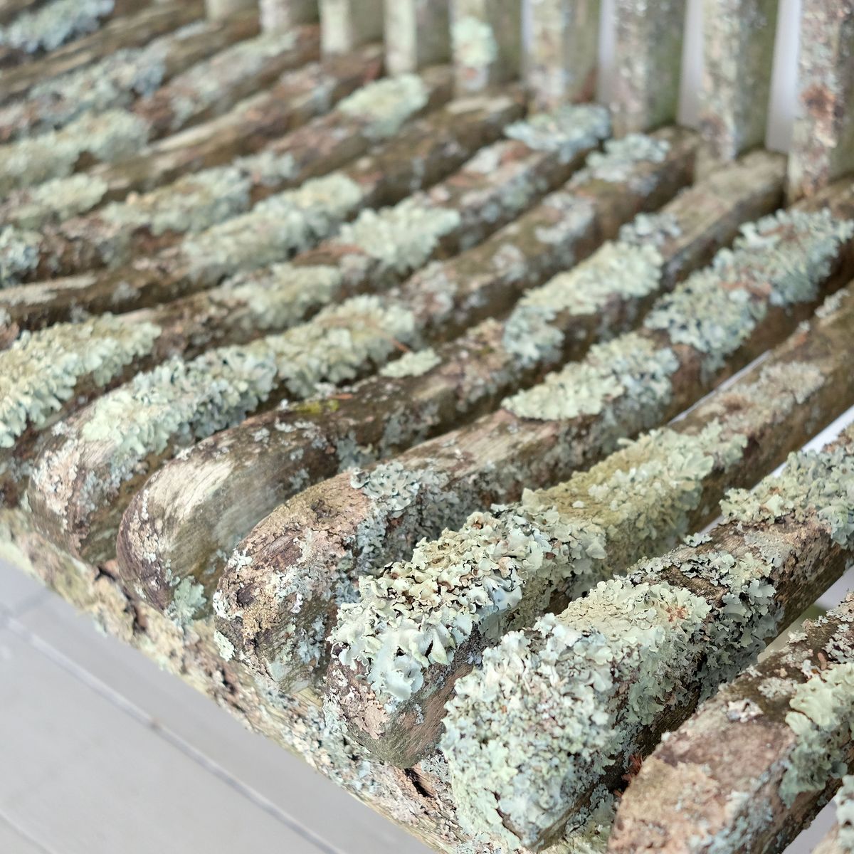 Lichen Covered Garden Bench › Puckhaber Decorative Antiques ...