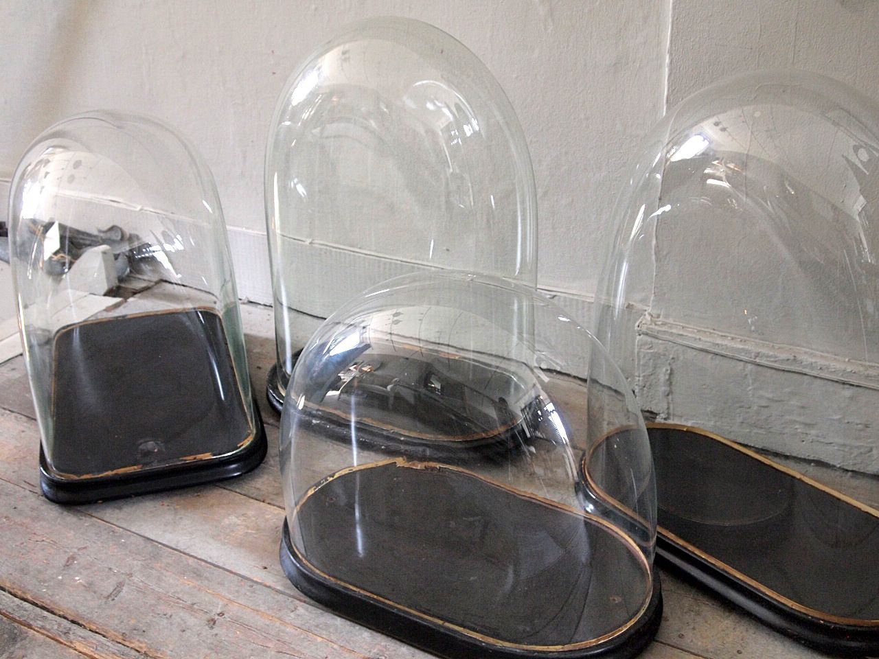 Unusualy Large Antique Display Domes › Puckhaber Decorative Antiques ...
