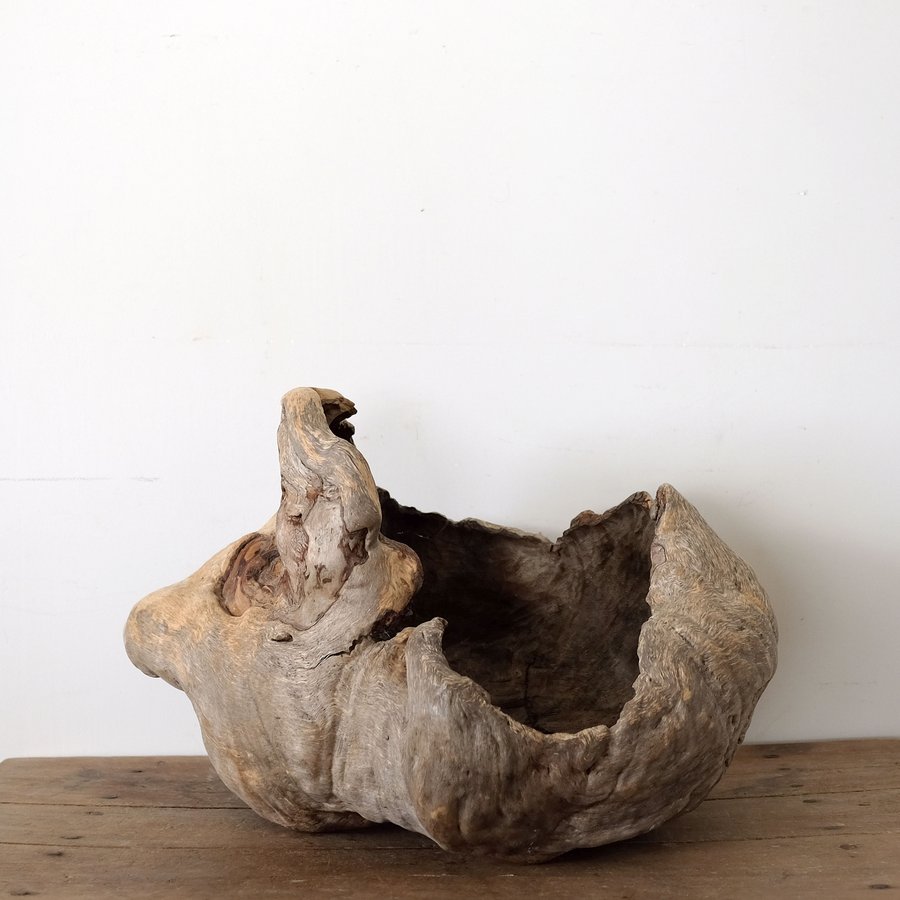 Sculptural Olive Wood Root Bowl › Puckhaber Decorative Antiques ...
