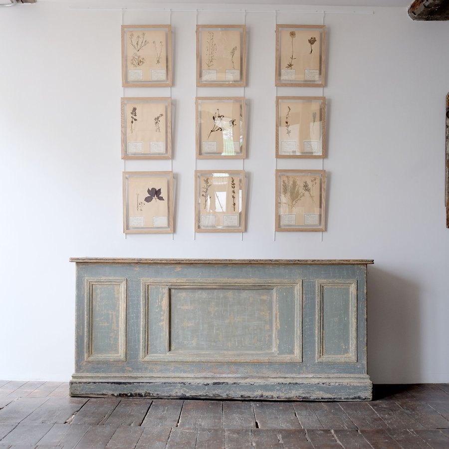 Antique Shop Counter › Puckhaber Decorative Antiques › specialists in ...