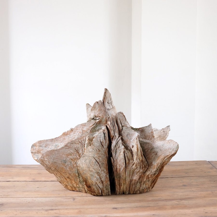 Tree Trunk Fragment › Puckhaber Decorative Antiques › specialists in ...